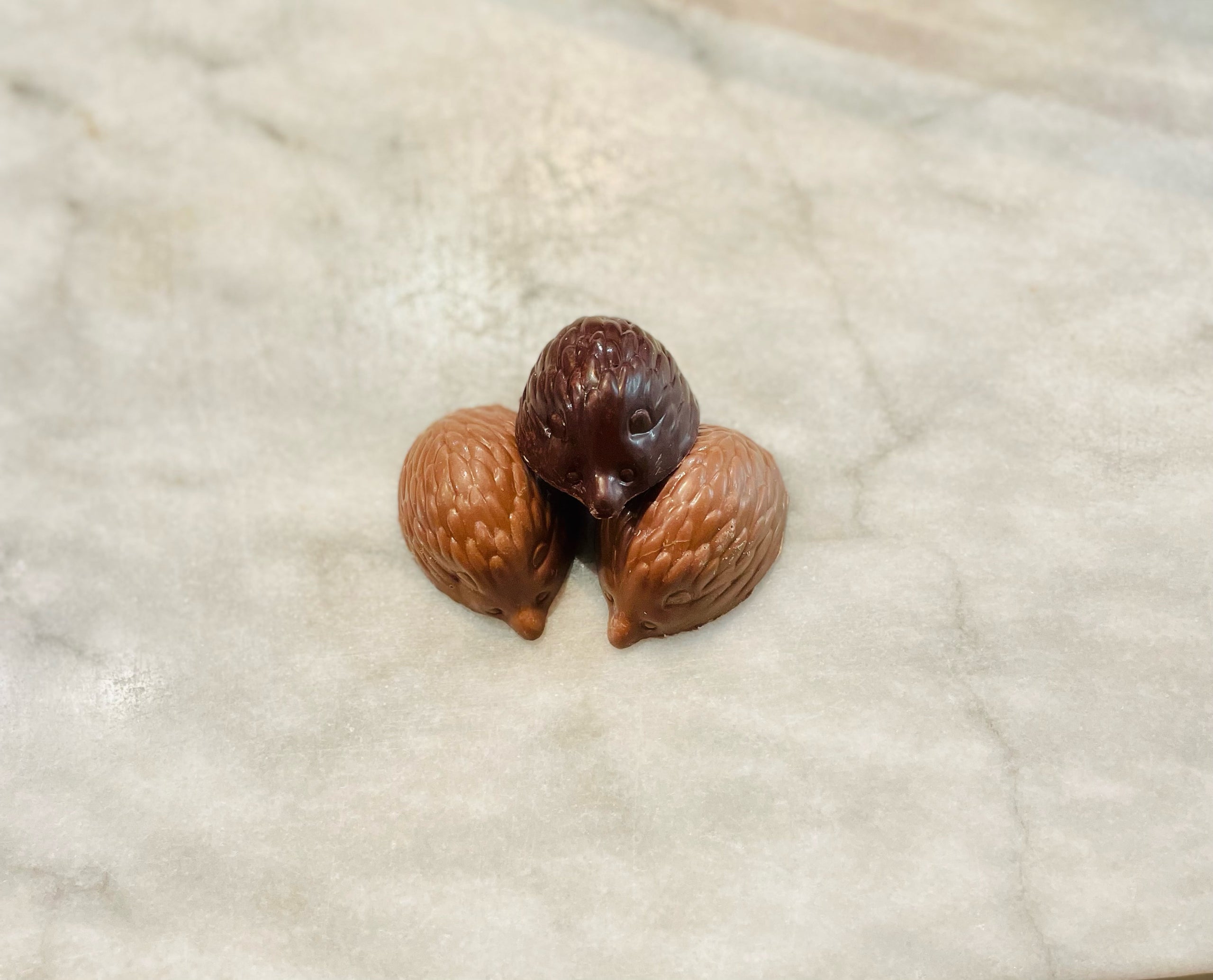 Hedgehog Chocolate Boxes | Coombs Country Candy