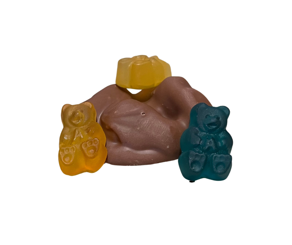 Chocolate Covered Gummy Bears | Coombs Country Candy