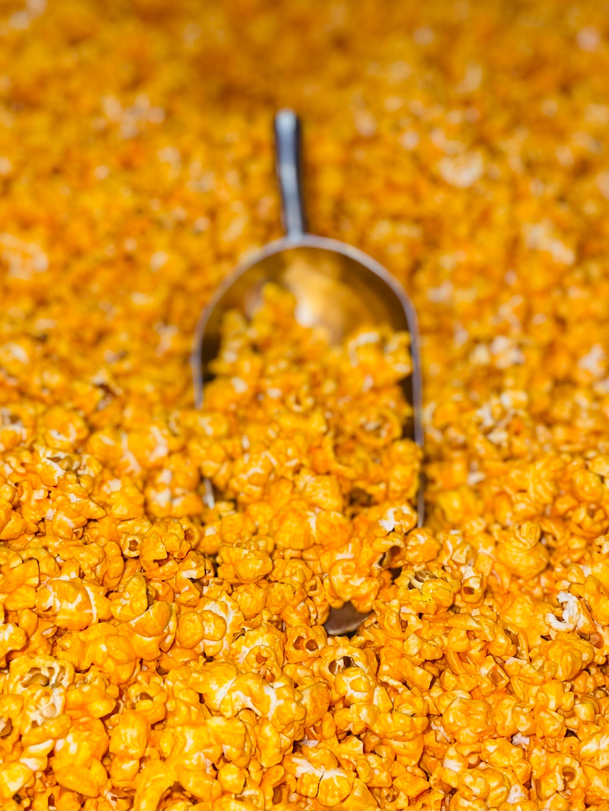 Cheddar Cheese Popcorn | Coombs Country Candy